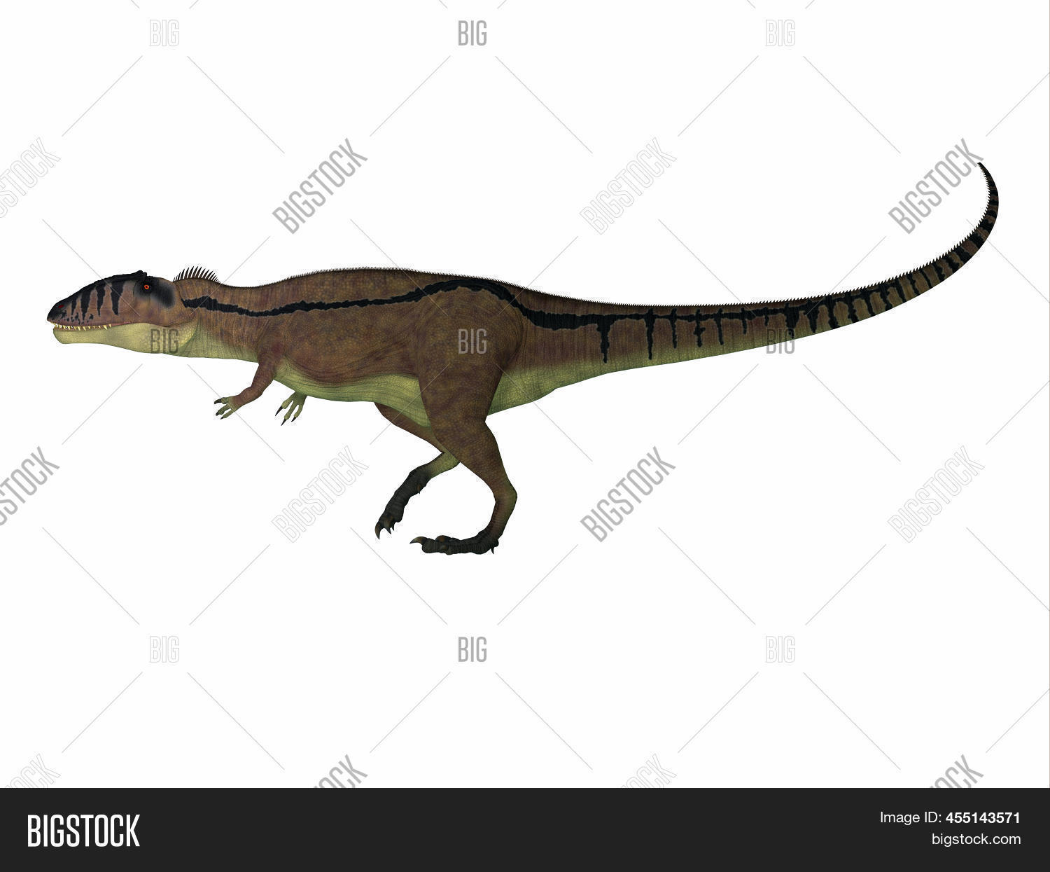 Carcharodontosaurus Image & Photo (Free Trial) | Bigstock