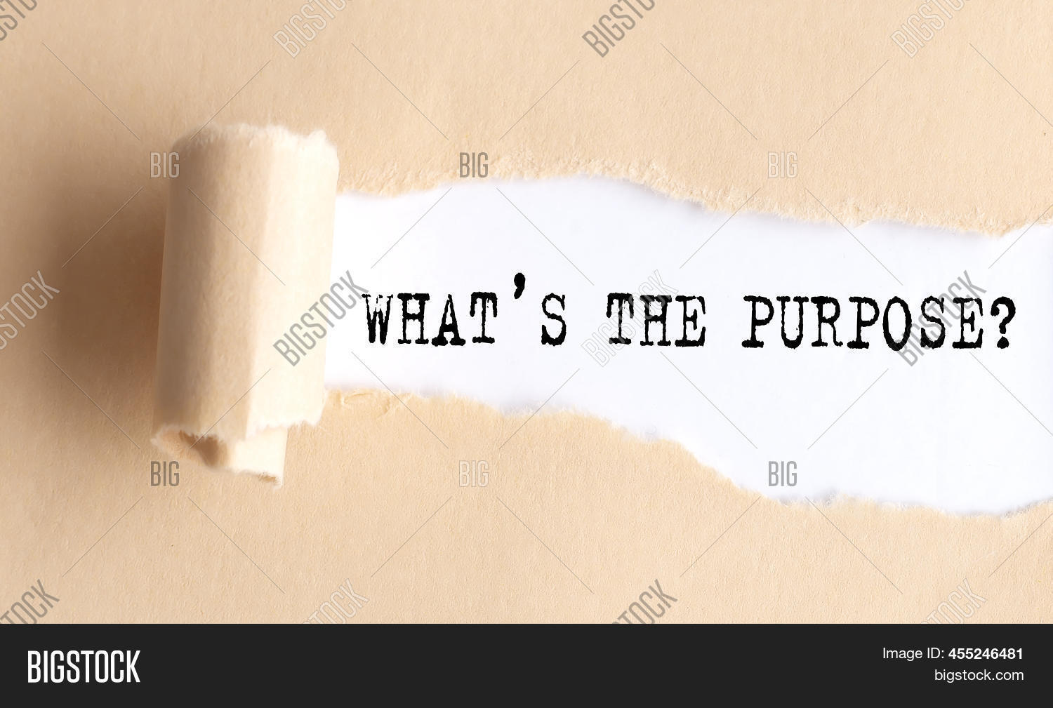 Text What's Purpose Image & Photo (Free Trial) | Bigstock