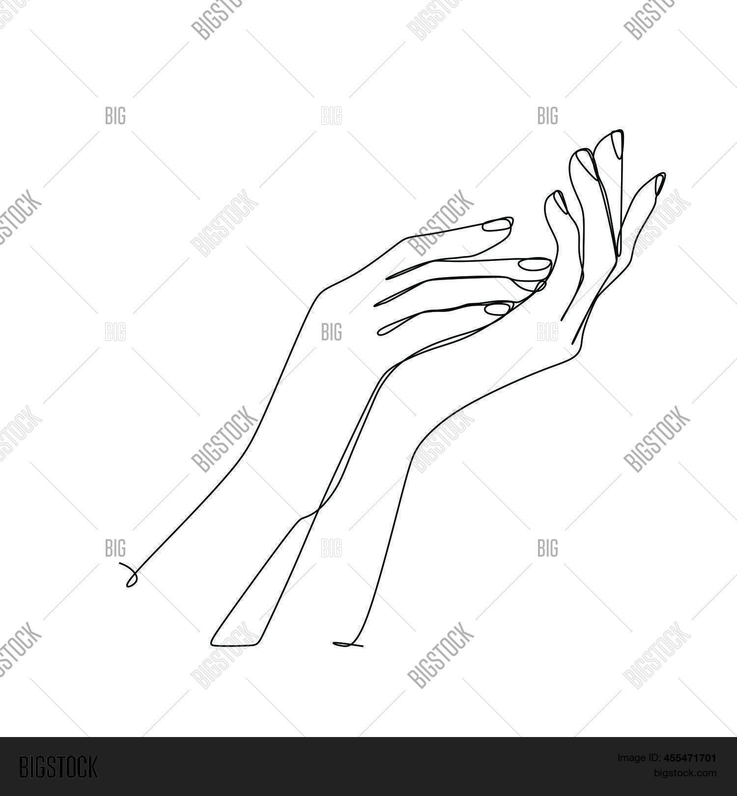 Single Stroke Line Vector & Photo (Free Trial) | Bigstock