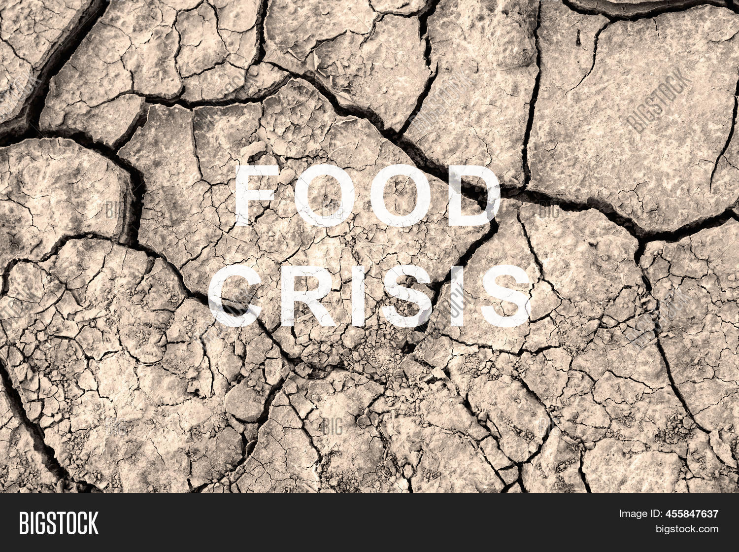 Food Crisis. World Image & Photo (Free Trial) | Bigstock