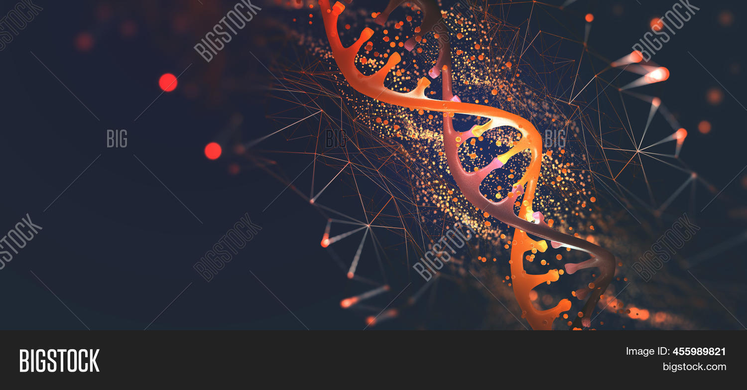 Dna Helix 3d Image & Photo (Free Trial) | Bigstock