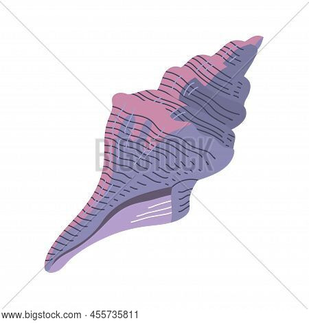 Snail Sea Shell. Vector & Photo (Free Trial) | Bigstock