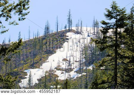 Patches Snow During Image & Photo (Free Trial) | Bigstock