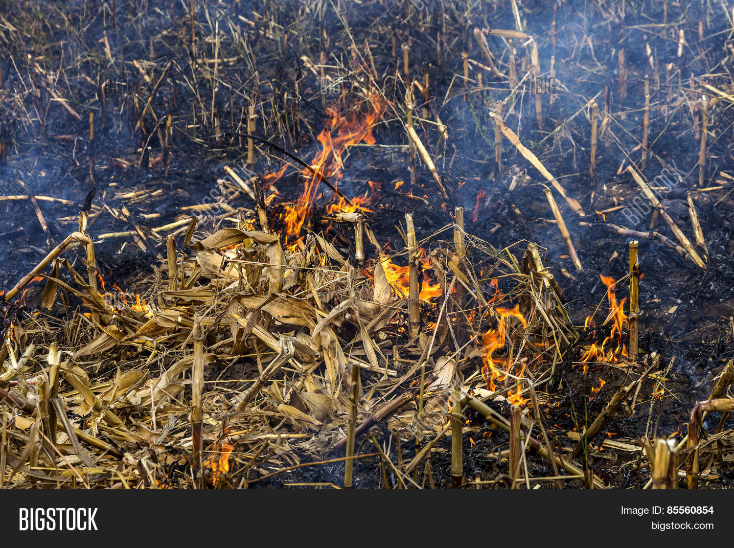 Severe Drought. Fires Image & Photo (Free Trial) | Bigstock