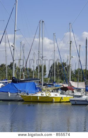 Yellow Yacht Marine Image & Photo (Free Trial) | Bigstock