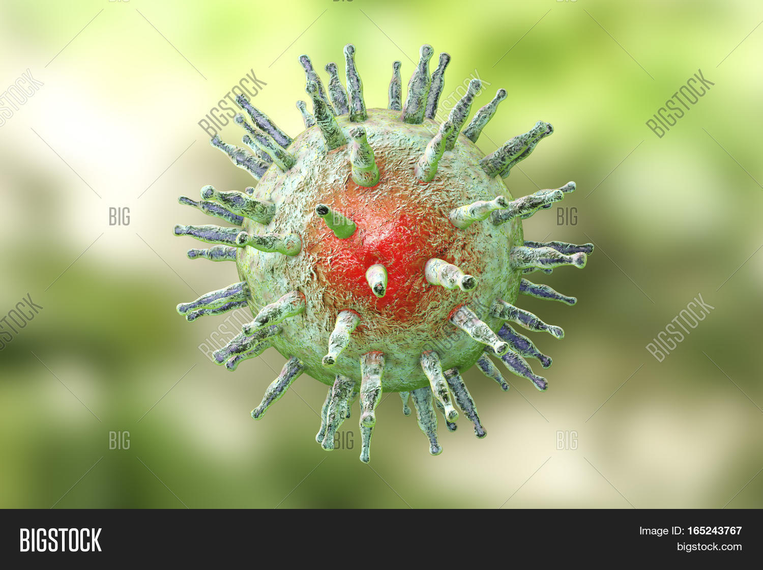 Epstein-Barr Virus EBV Image & Photo (Free Trial) | Bigstock