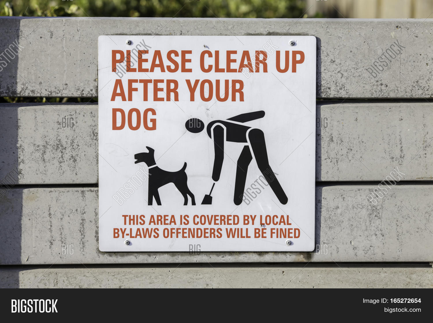 Please Clear After Image & Photo (Free Trial) | Bigstock