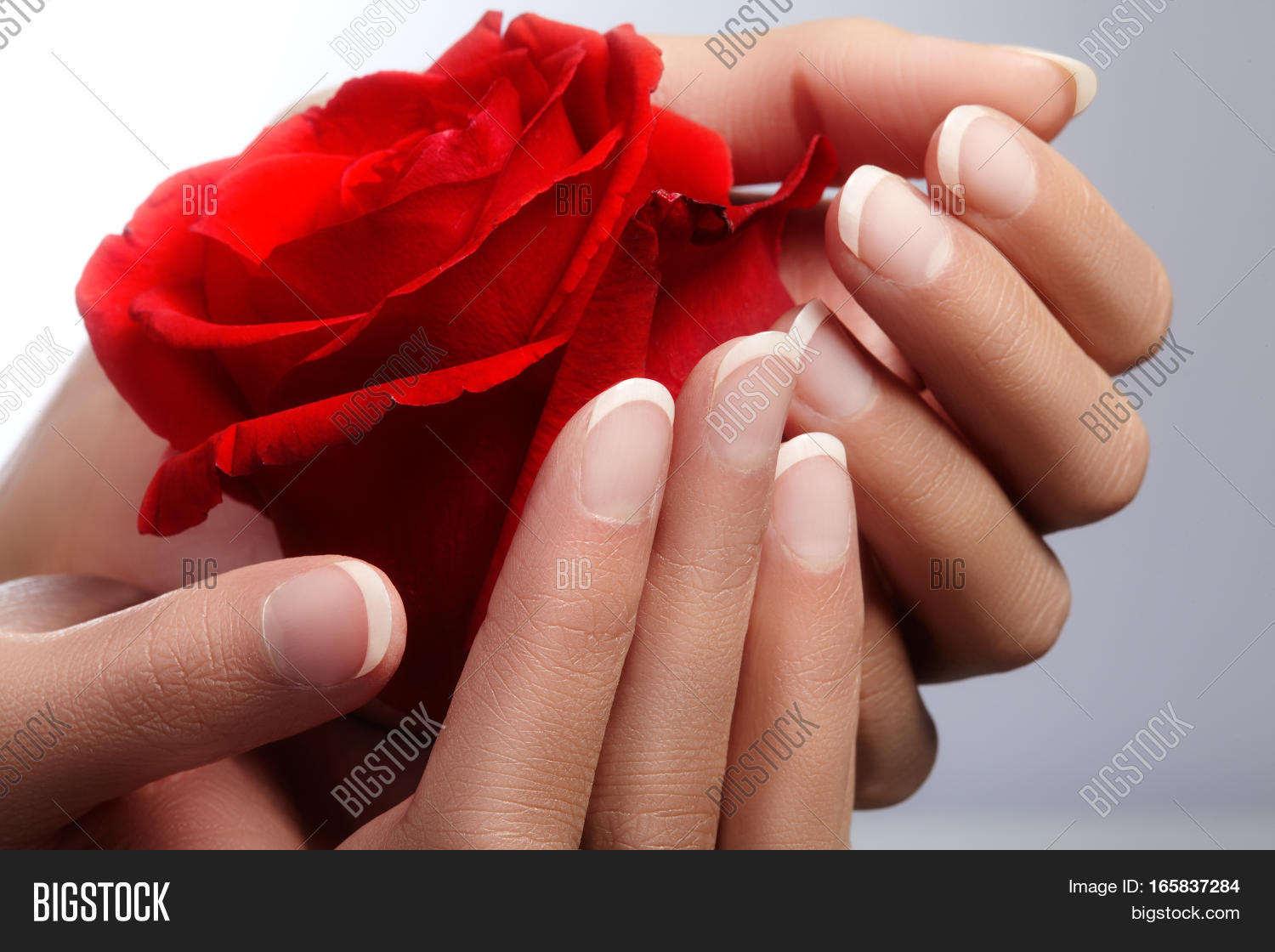 Beautiful Female Arms Image & Photo (Free Trial) | Bigstock