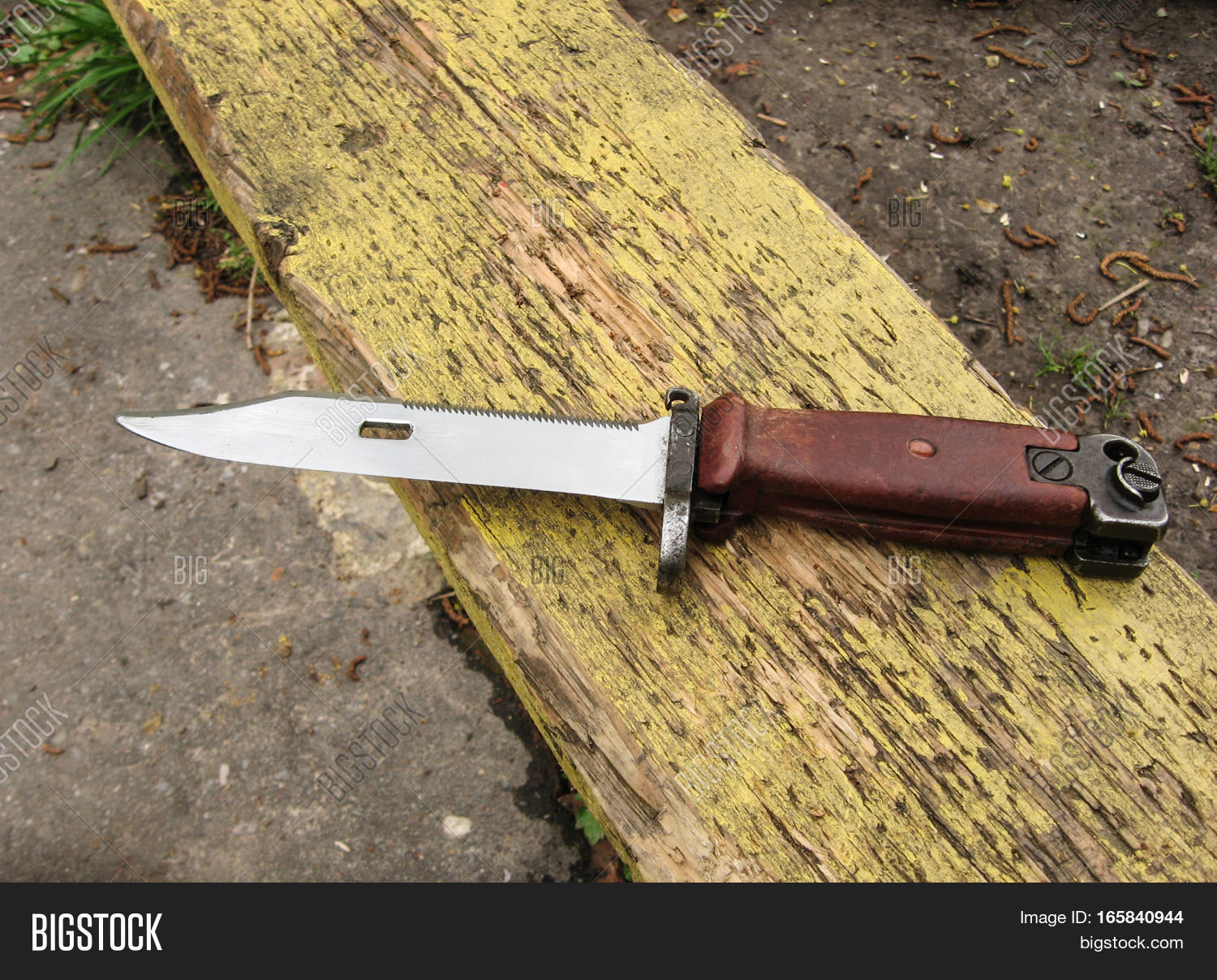 Bayonet Knife Army. Image & Photo (Free Trial) | Bigstock