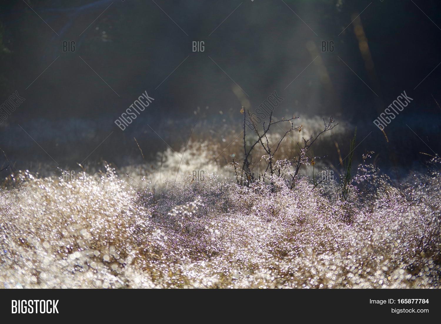 Bright Winter Sun Image & Photo (Free Trial) | Bigstock