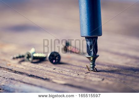 Screw Screwdriver Image & Photo (Free Trial) | Bigstock