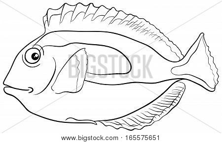 Blue Tang Fish Vector & Photo (Free Trial) | Bigstock