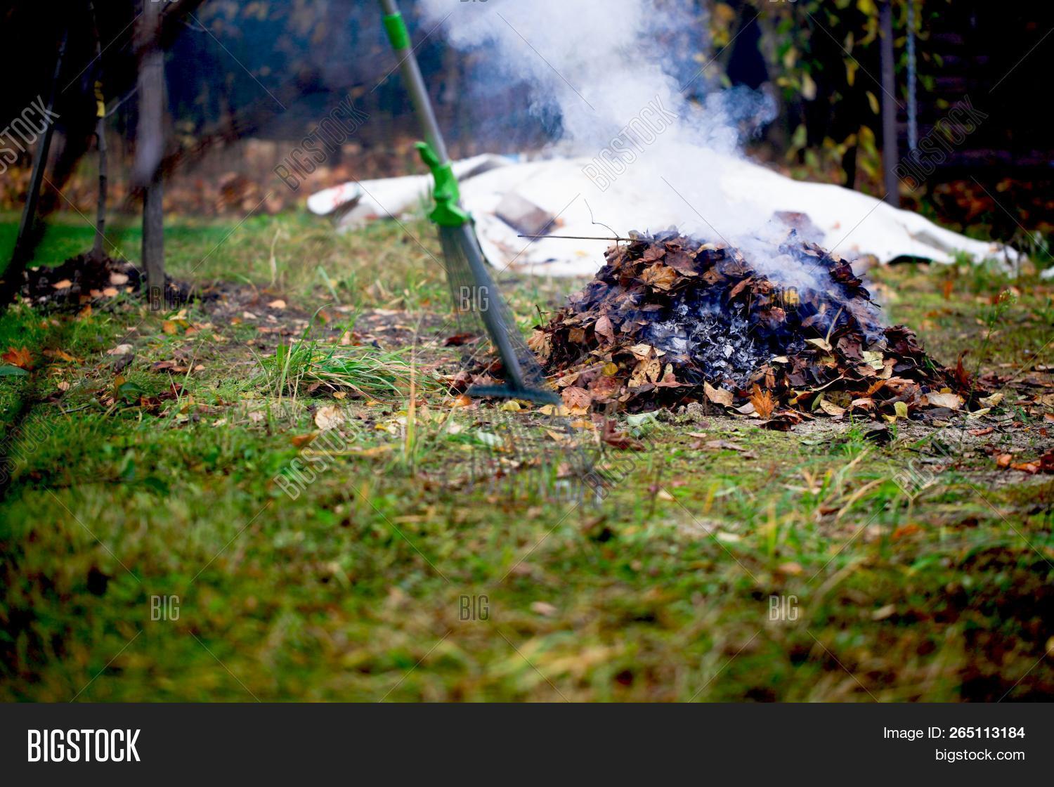 Campfire Smoke Grey Image & Photo (Free Trial) | Bigstock