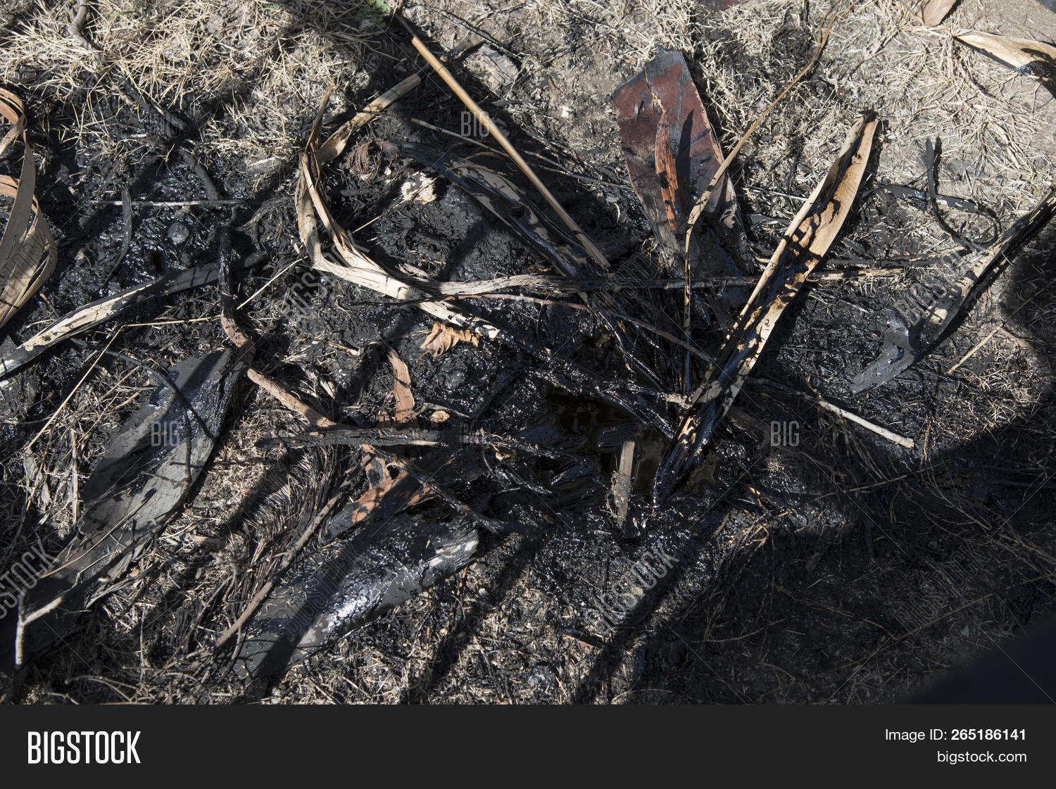 Active Tar Seep Los Image & Photo (Free Trial) | Bigstock