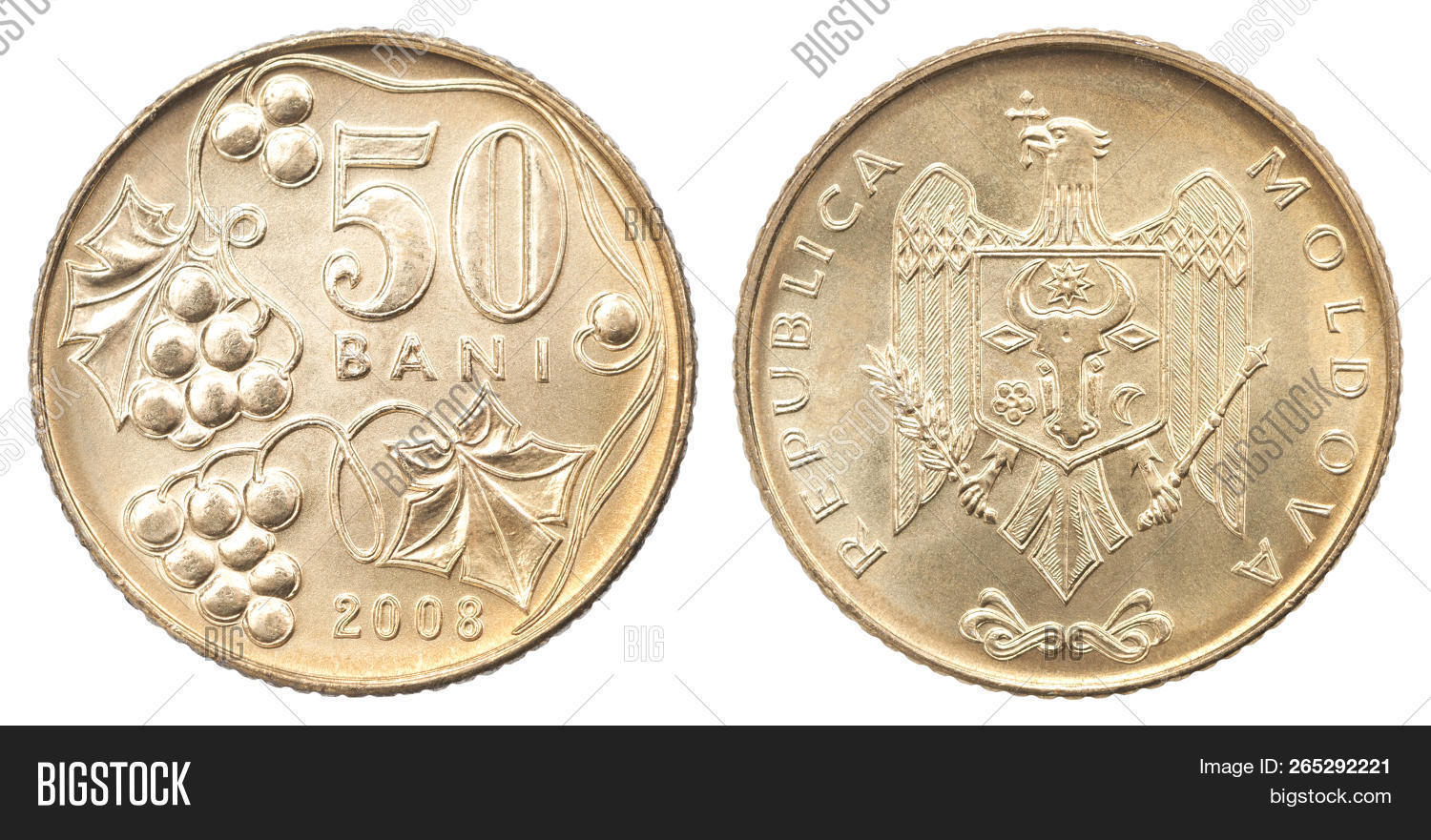 Moldovan Coin Fifty Image & Photo (Free Trial) | Bigstock