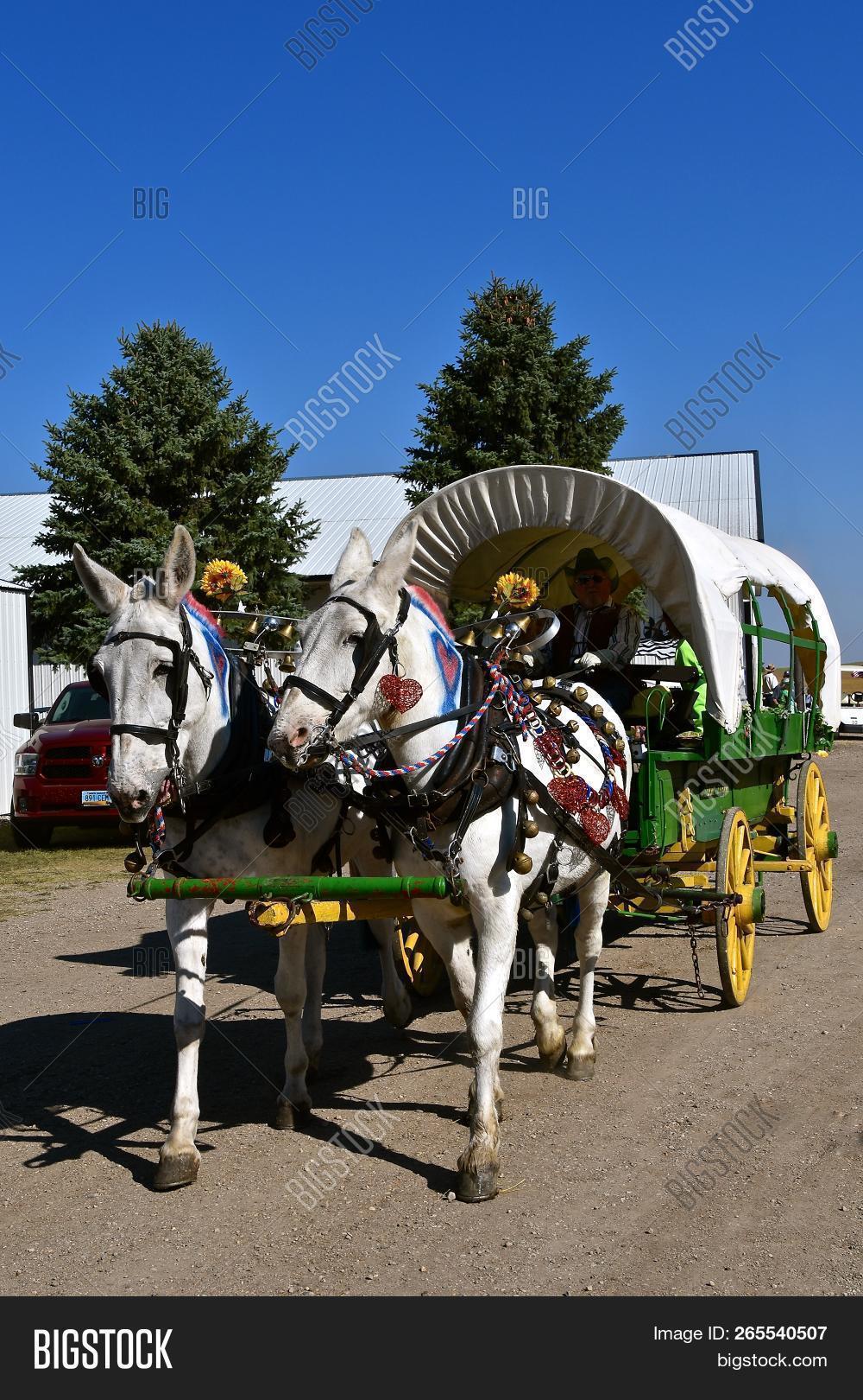 Pekin, North Dakota, Image & Photo (Free Trial) | Bigstock