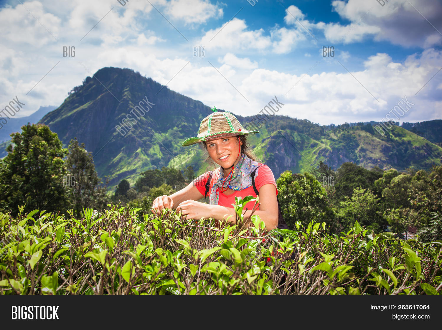 Beautiful Female Tea- Image & Photo (Free Trial) | Bigstock
