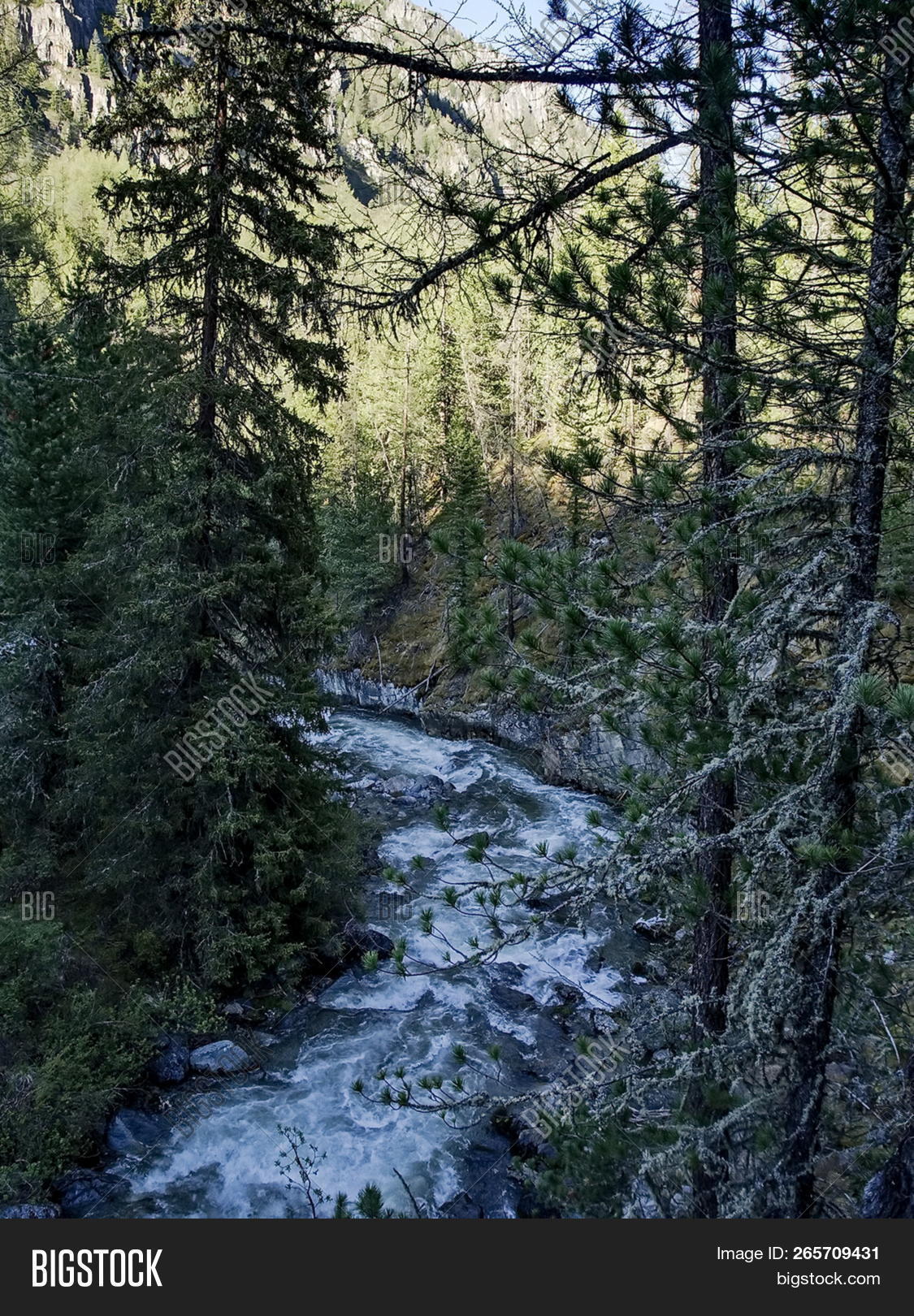 Fast Mountain River. Image & Photo (Free Trial) | Bigstock