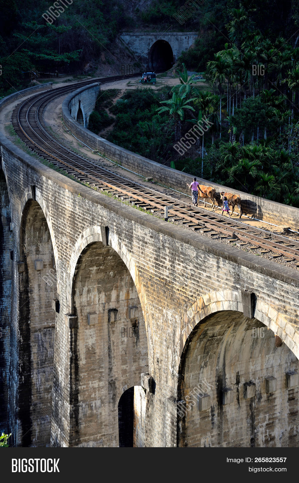 Image et photo de Nine Arches (essai gratuit) | Bigstock