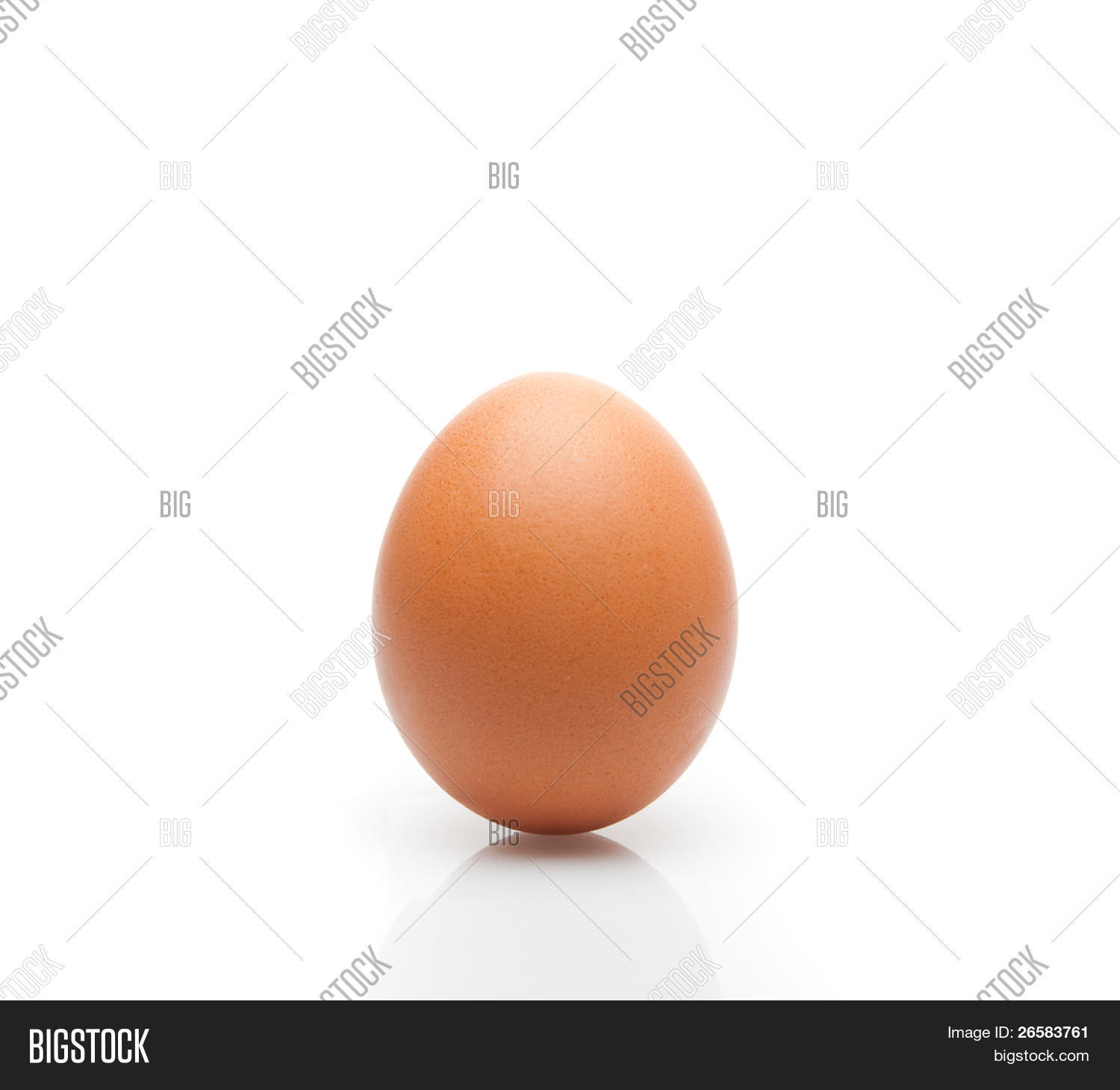 One Egg On White Image & Photo (Free Trial) | Bigstock