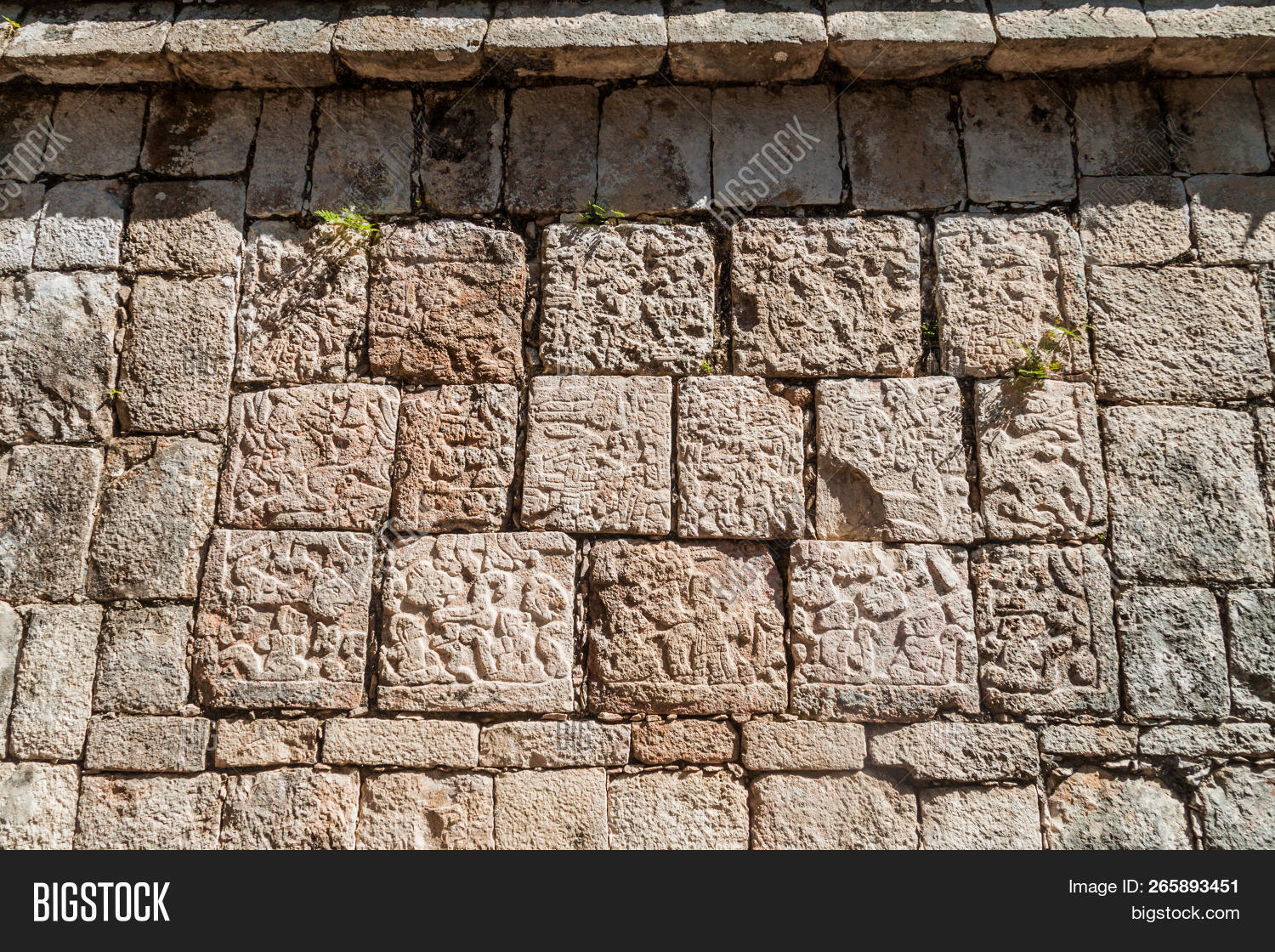 Panels Temple Image & Photo (Free Trial) | Bigstock