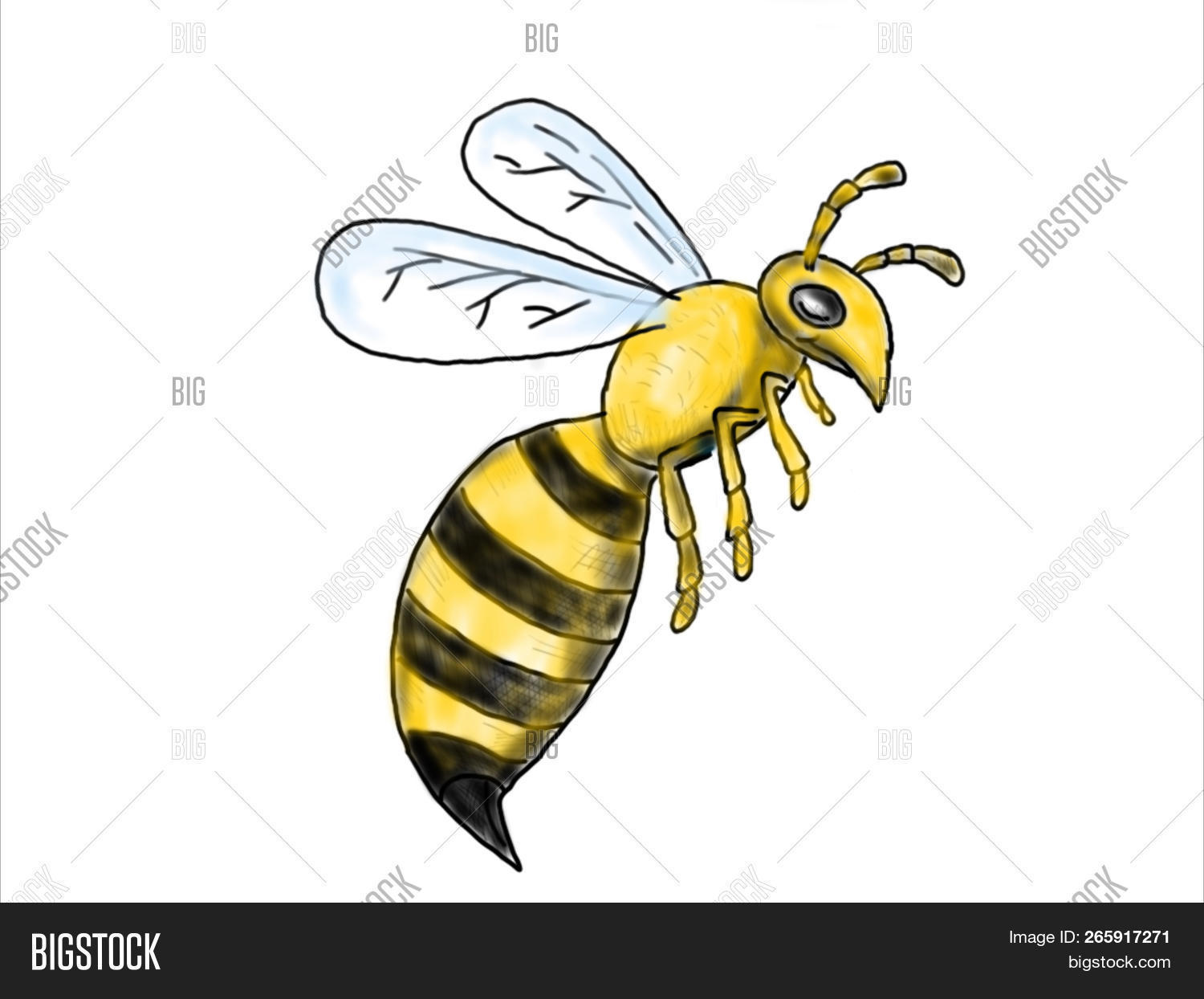 2d Animation Motion Image & Photo (Free Trial) | Bigstock