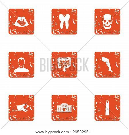 Maturation Icons Set Vector & Photo (Free Trial) | Bigstock