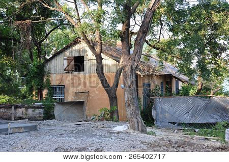 Tree poverty Images - Search Images on Everypixel