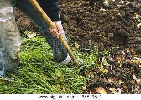 Man Digging Garden. Image & Photo (Free Trial) | Bigstock