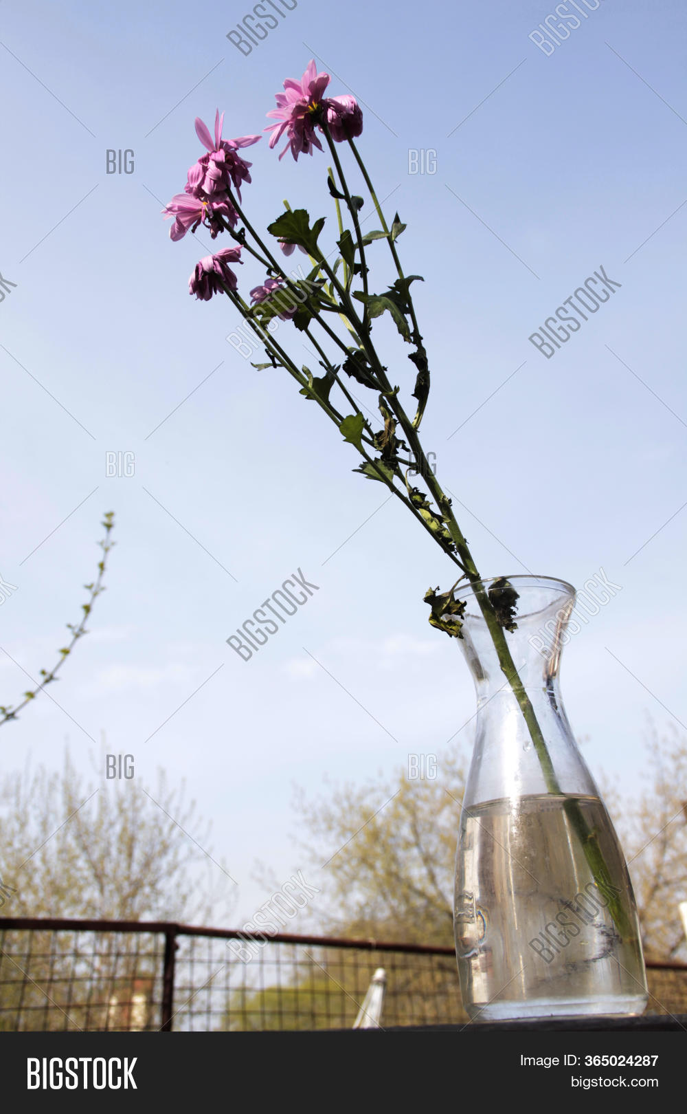 Spring Flowers Vase On Image & Photo (Free Trial) | Bigstock