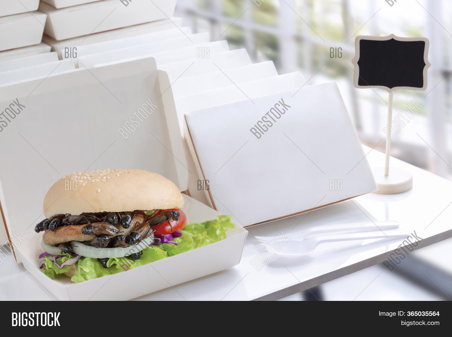 Crickets Insect Bread Image & Photo (Free Trial) | Bigstock