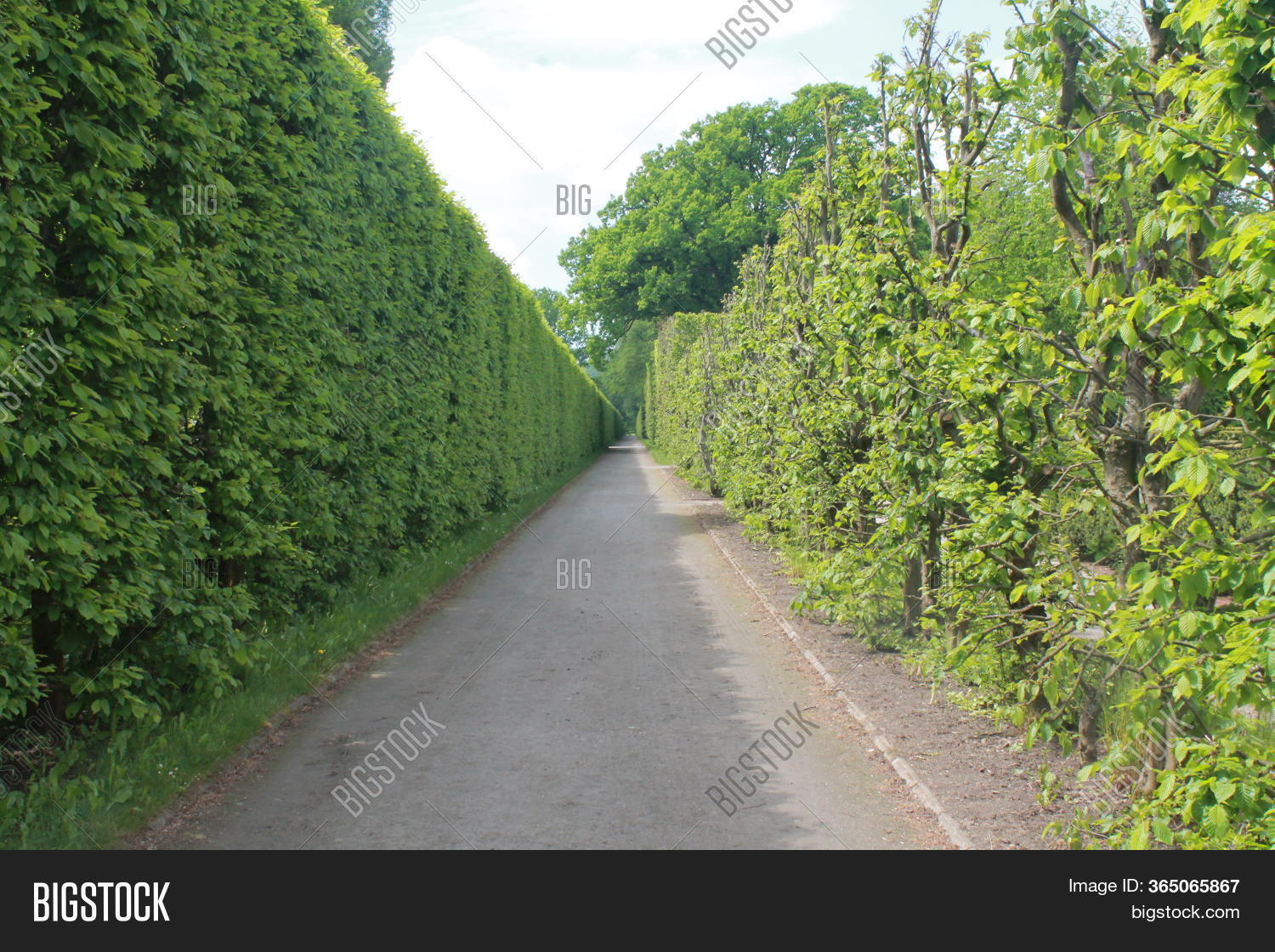 Alley Path Park Line Image & Photo (Free Trial) | Bigstock