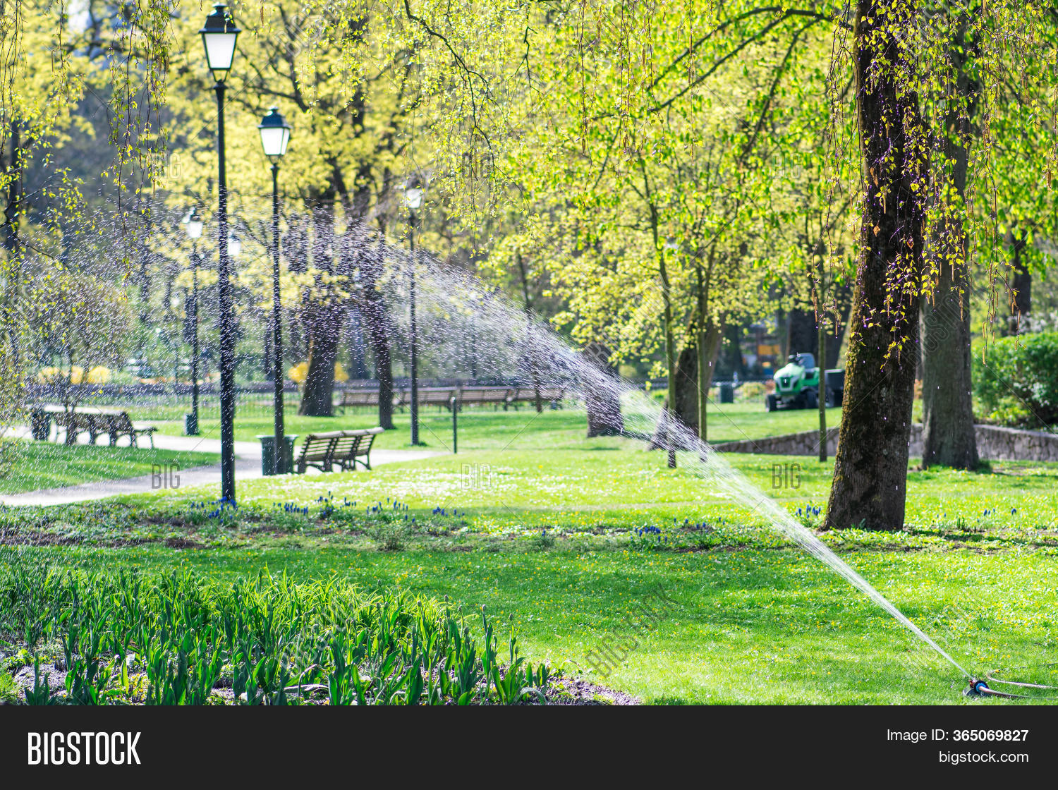 Garden Park Watering Image & Photo (Free Trial) | Bigstock