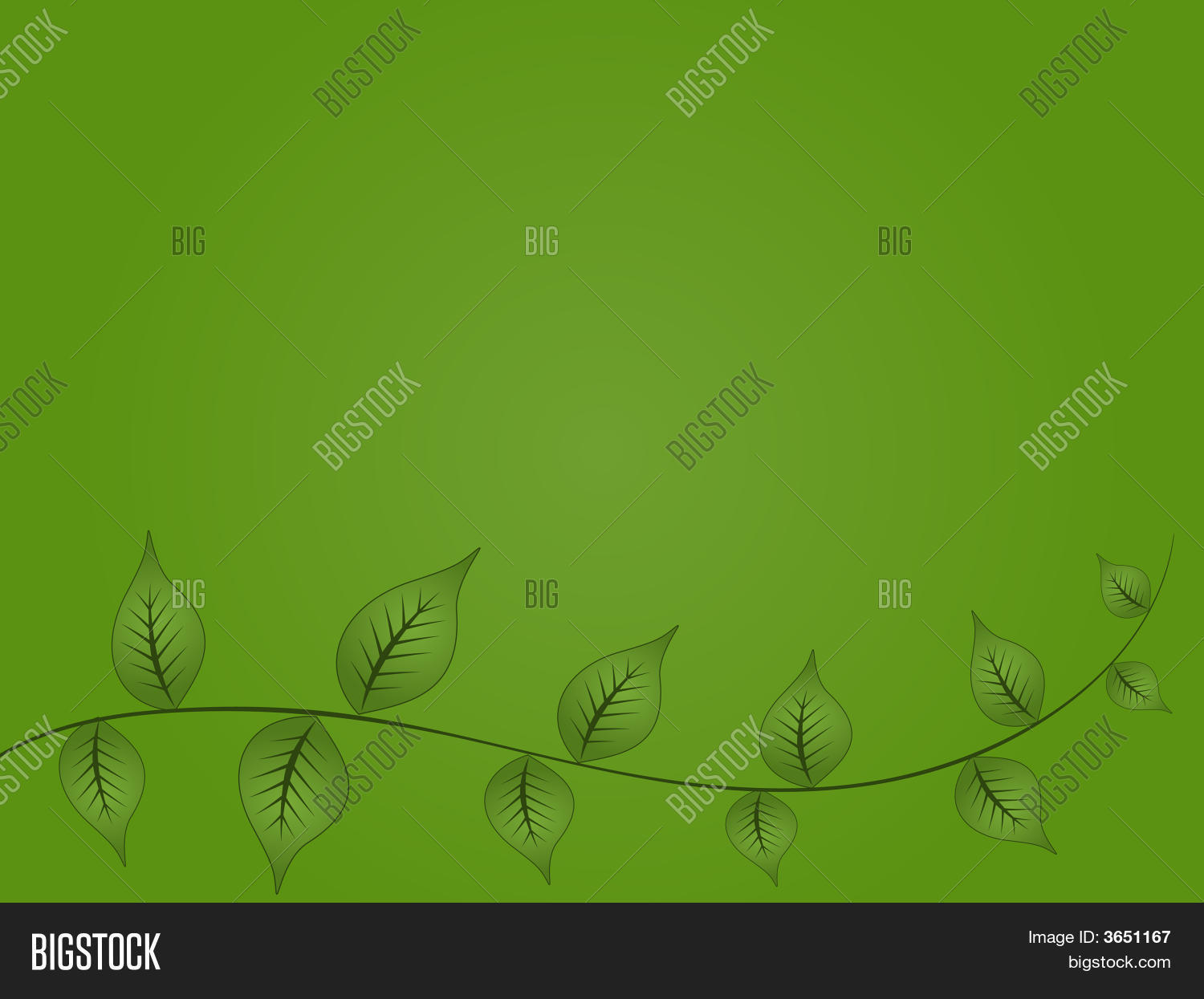 Green Vine Background Image & Photo (Free Trial) | Bigstock