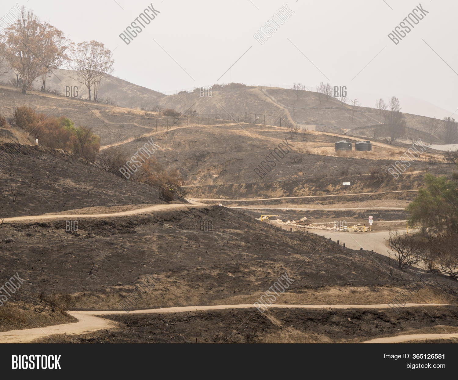 Destroyed Park Image & Photo (Free Trial) | Bigstock