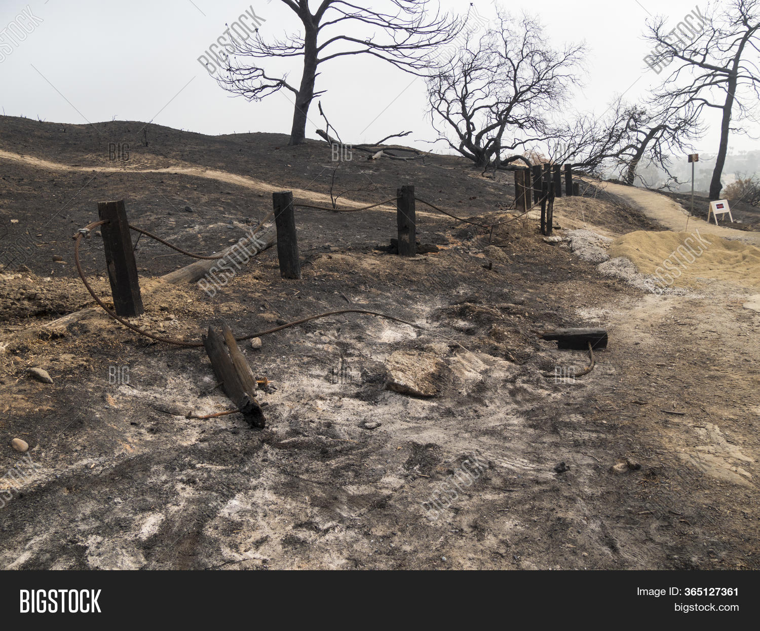 Burnt Fence Trails Image & Photo (Free Trial) | Bigstock