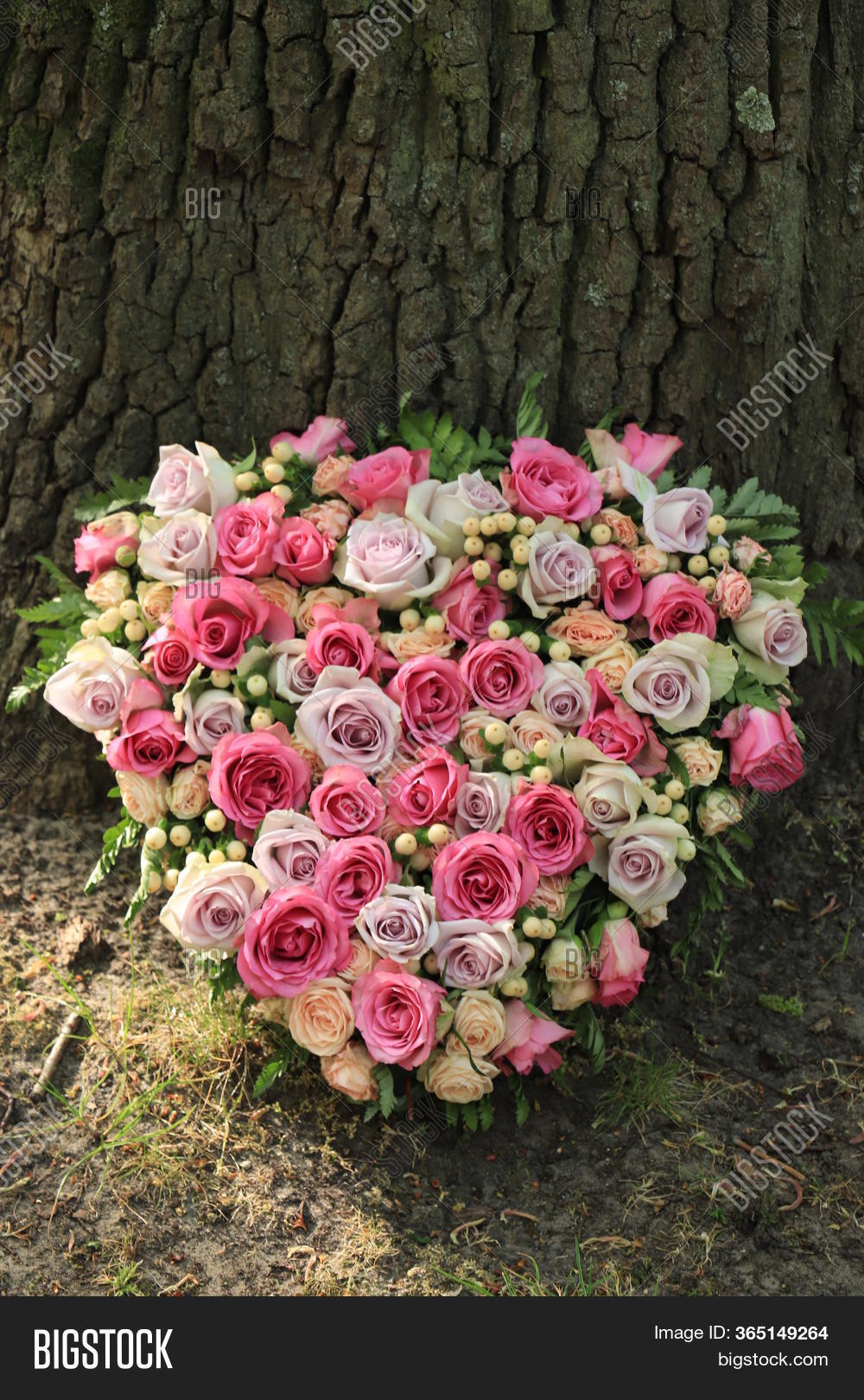 Sympathy Flower Image & Photo (Free Trial) | Bigstock