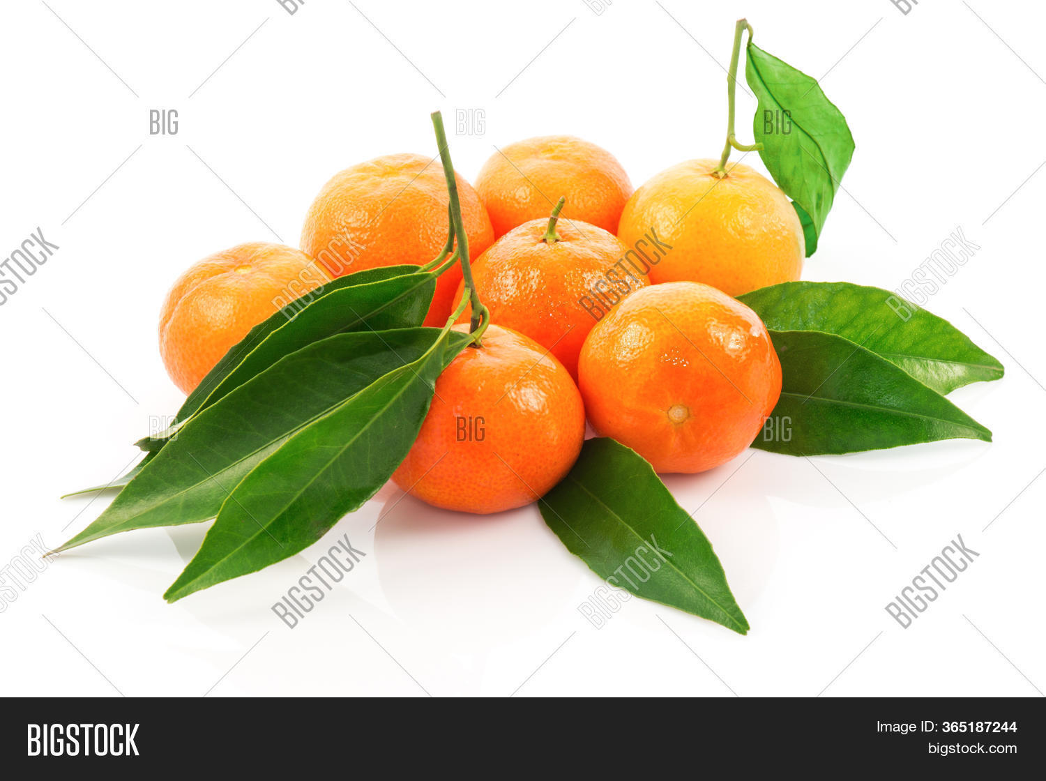 Tangerines Green Image & Photo (Free Trial) | Bigstock
