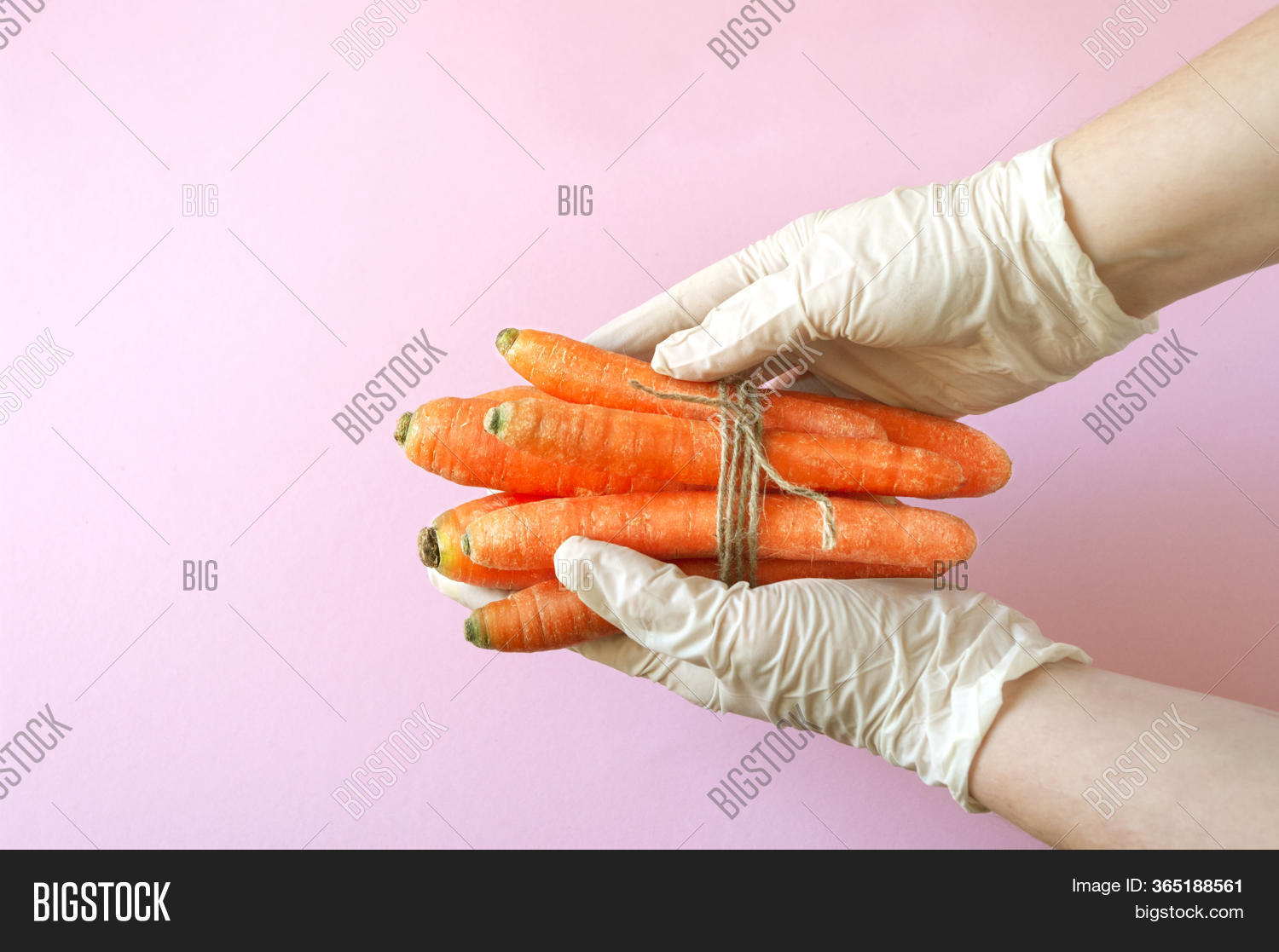 Farmer Hands Gloves Image & Photo (Free Trial) | Bigstock