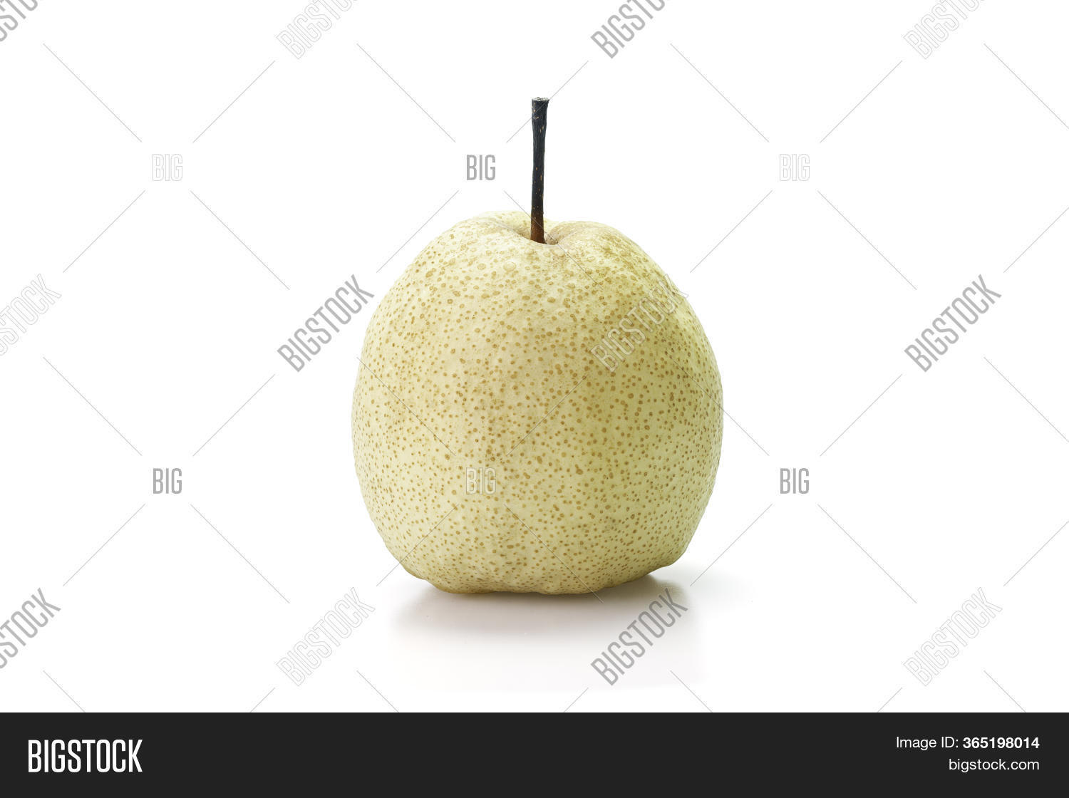Chinese Pear Fruit Image & Photo (Free Trial) | Bigstock