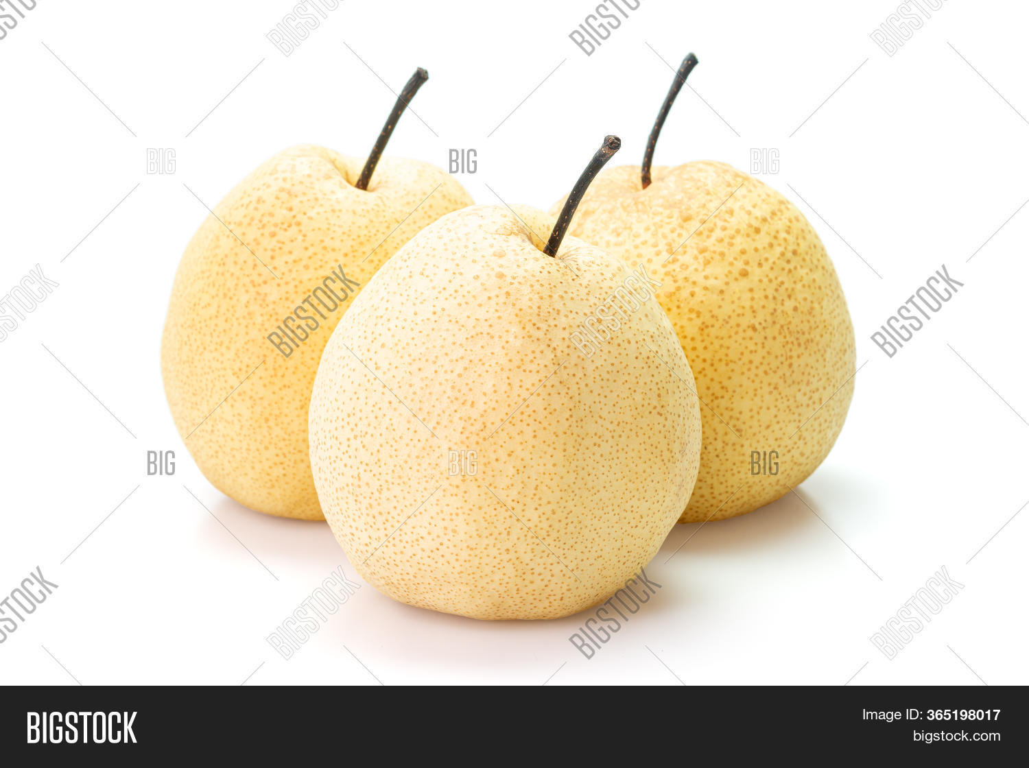 Chinese Pears Isolated Image & Photo (Free Trial) | Bigstock