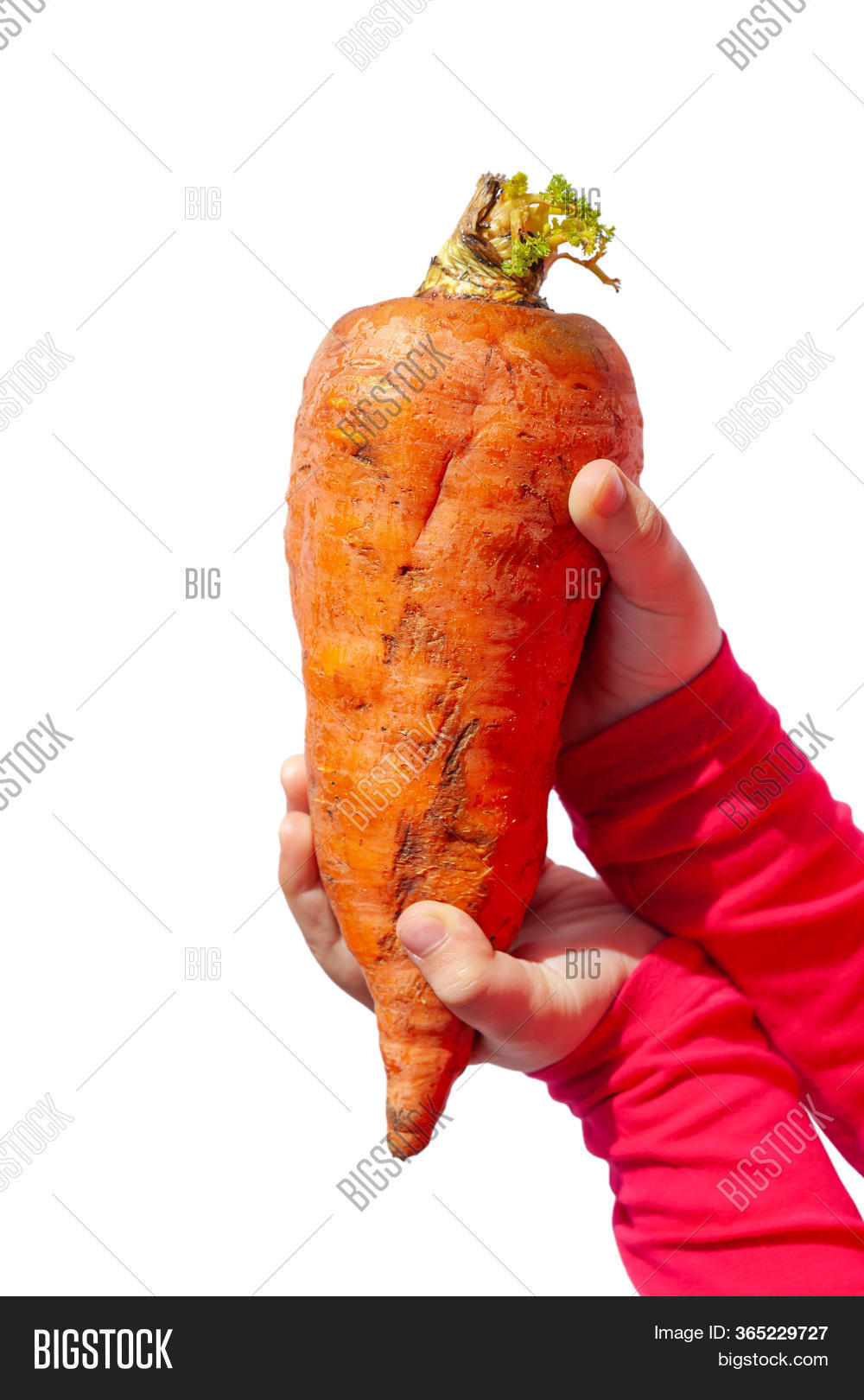 Ugly Food. Deformed Image & Photo (Free Trial) | Bigstock