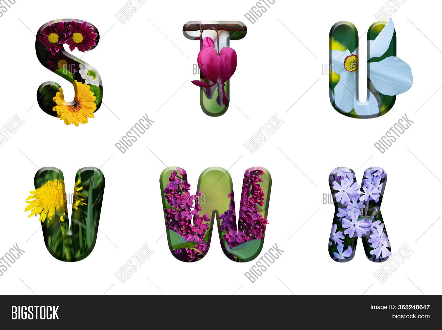 Flower Font Alphabet S Image & Photo (Free Trial) | Bigstock