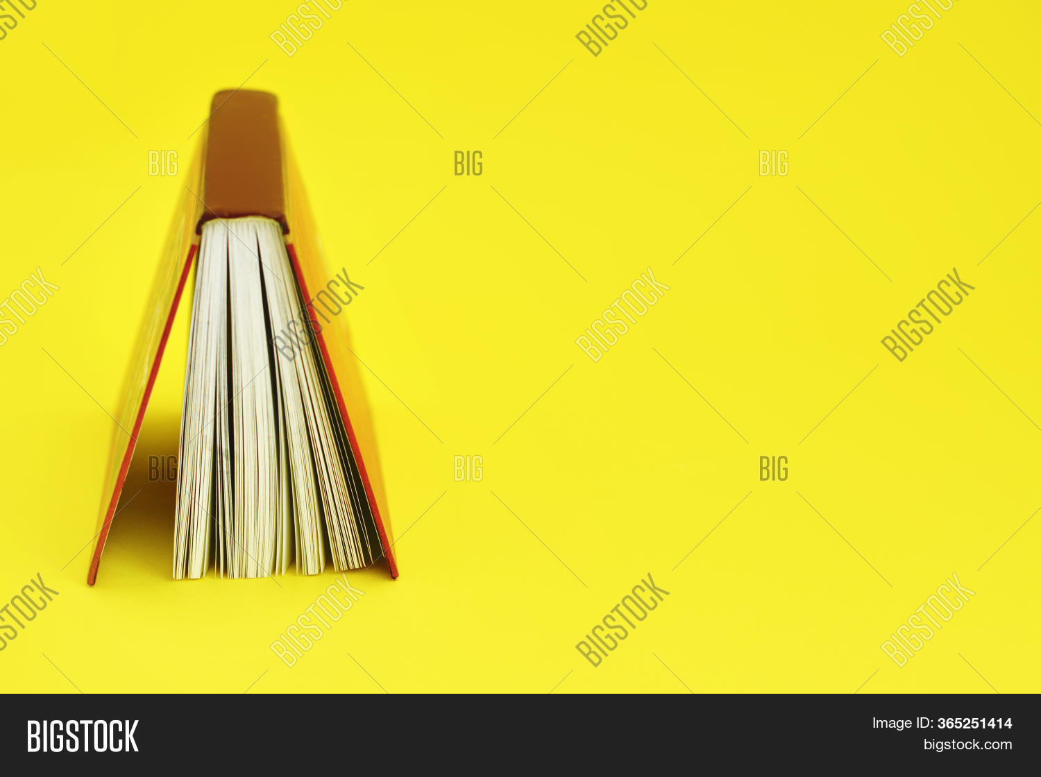 White Book Pages Open Image & Photo (Free Trial) | Bigstock