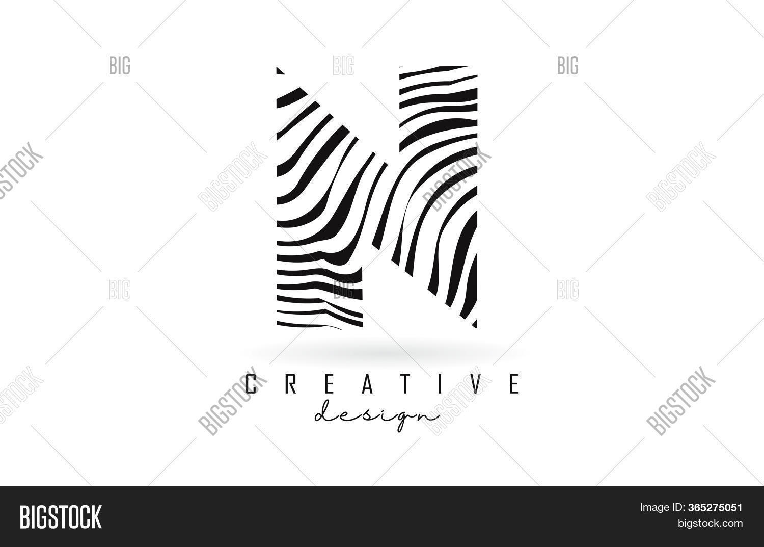 Black White Zebra N Vector & Photo (Free Trial) | Bigstock