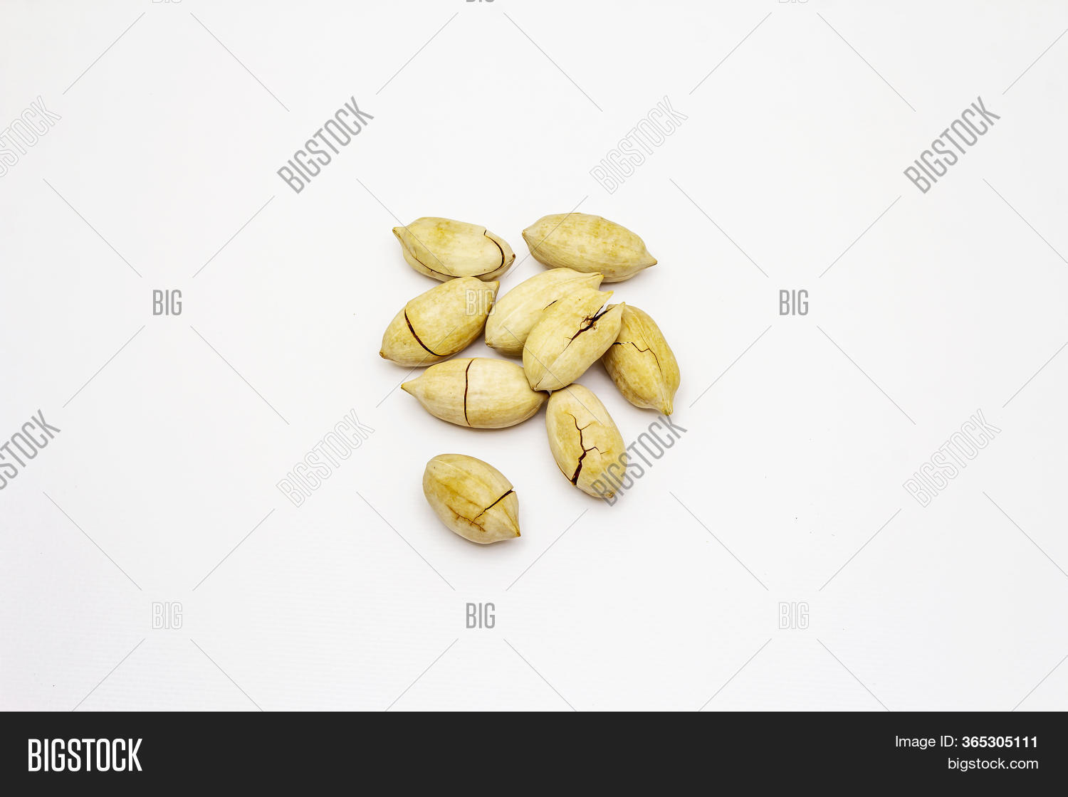 Ripe Pecan Isolated On Image & Photo (Free Trial) | Bigstock