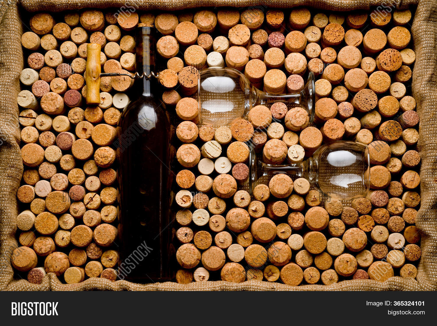 Wine Corks Different Image & Photo (Free Trial) | Bigstock