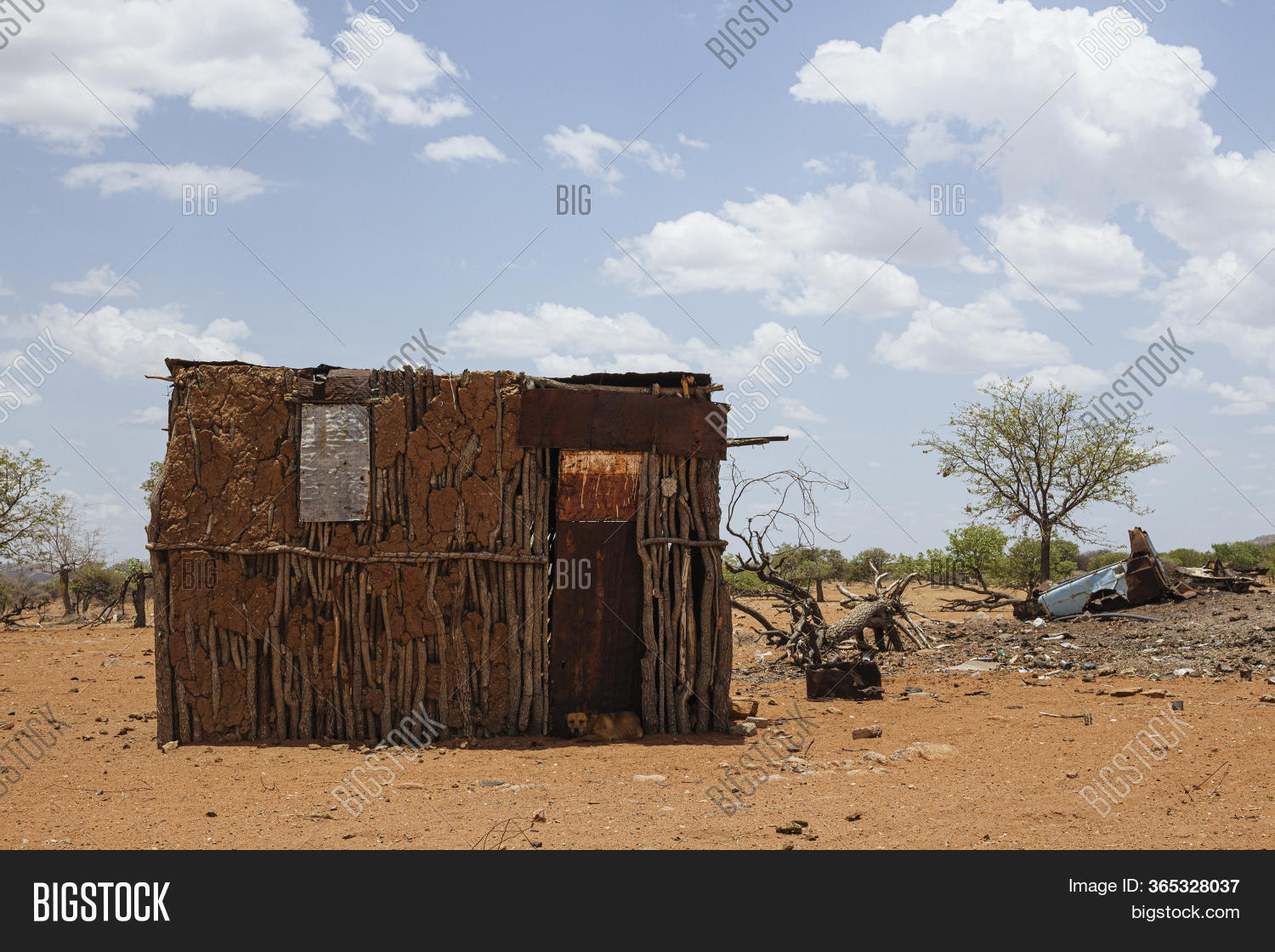 Typical Native Shack Image & Photo (Free Trial) | Bigstock
