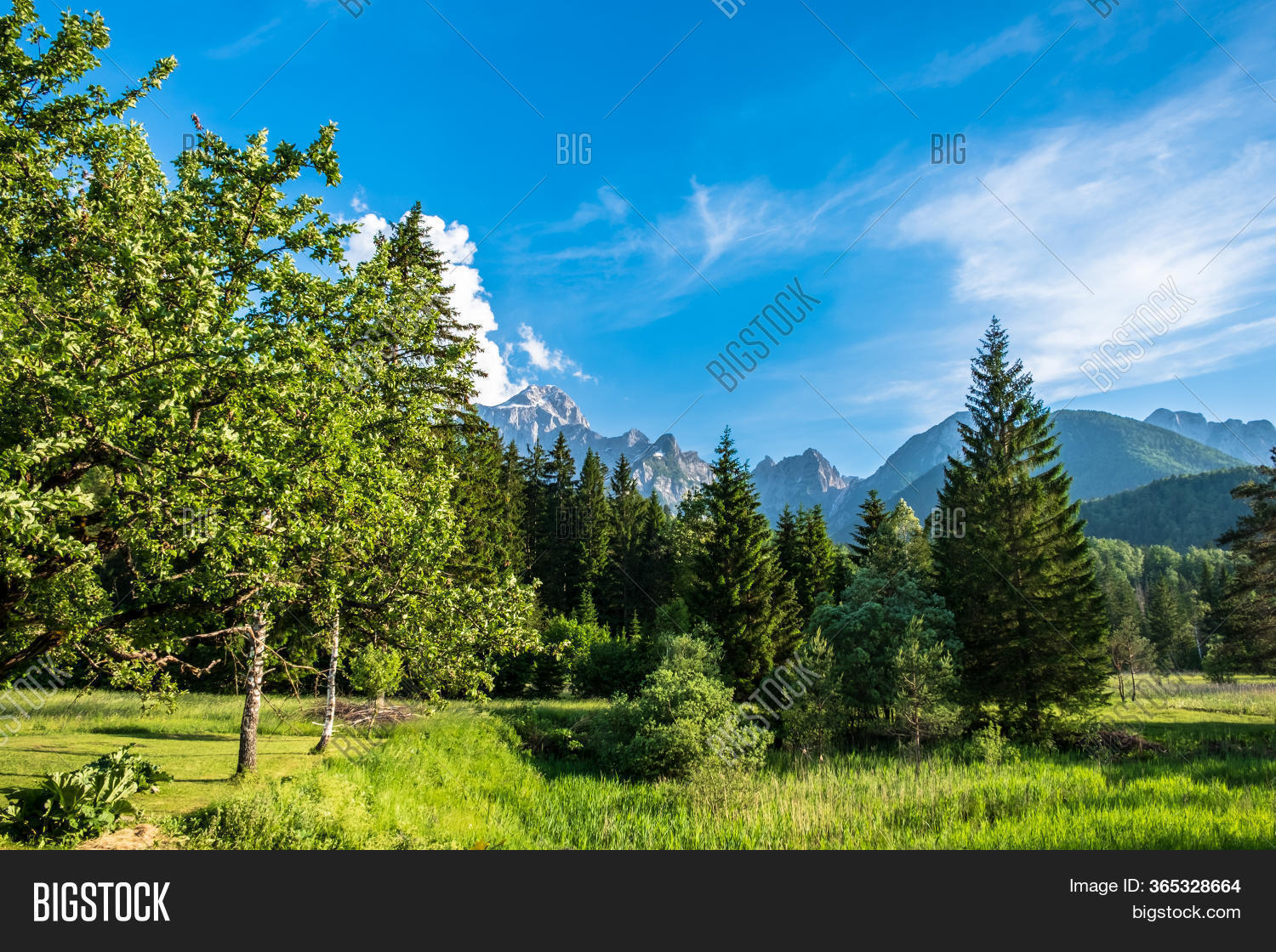 Summer Day Alpine Image & Photo (Free Trial) | Bigstock