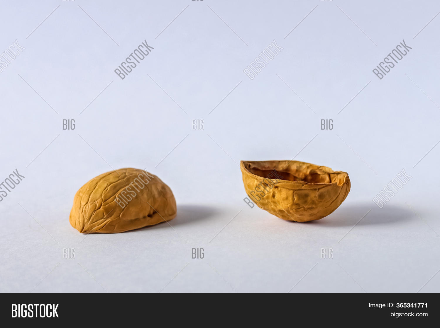 Empty Walnut Shell Two Image & Photo (Free Trial) | Bigstock